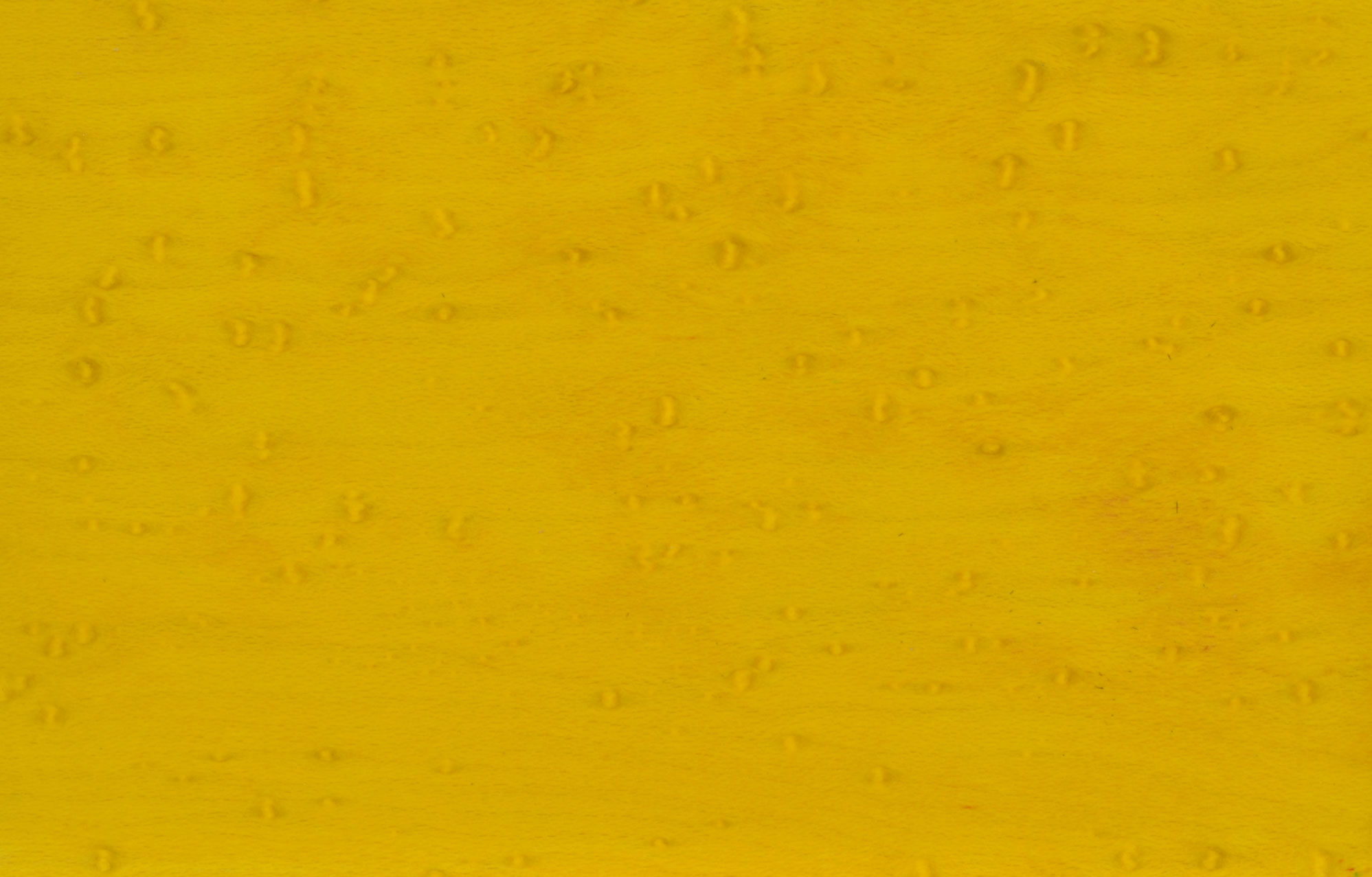 Dry Powdered Aniline Dye - Behlen